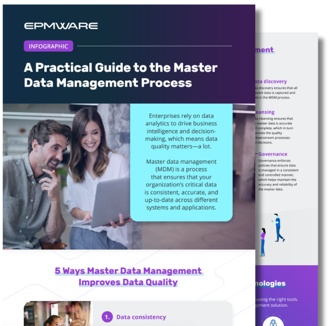 A Practical Guide to the Master Data Management Process